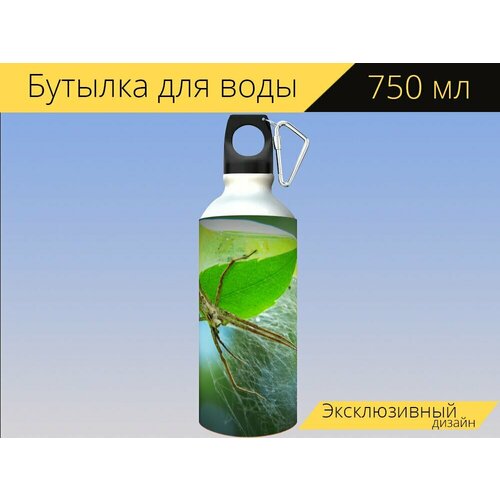 Бутылка фляга для воды "Darownik чудный, арачнид, девушки" 750 мл. с карабином и принтом
