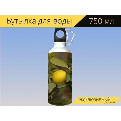 Бутылка фляга для воды "Лимон, цитрусовые, лимонное растение" 750 мл. с карабином и принтом