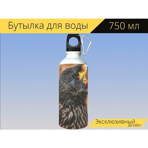 Бутылка фляга для воды "Канюк, хищник, дикие птицы" 750 мл. с карабином и принтом