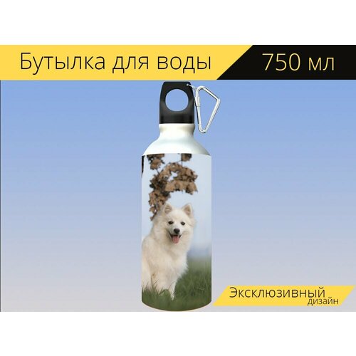 Бутылка фляга для воды "Собака, щенок, домашний питомец" 750 мл. с карабином и принтом