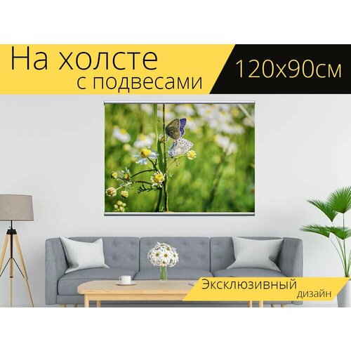 Картина на холсте "Голубоватый, бабочка, бабочки" с подвесами 120х90 см. для интерьера