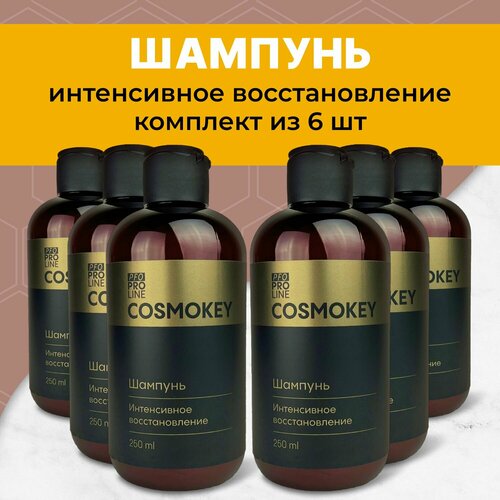 Cosmokey / Космокей Шампунь "Интенсивное восстановление" для ломких волос, 6 шт по 250 мл