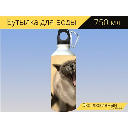 Бутылка фляга для воды "Животное, кот, дикая природа" 750 мл. с карабином и принтом