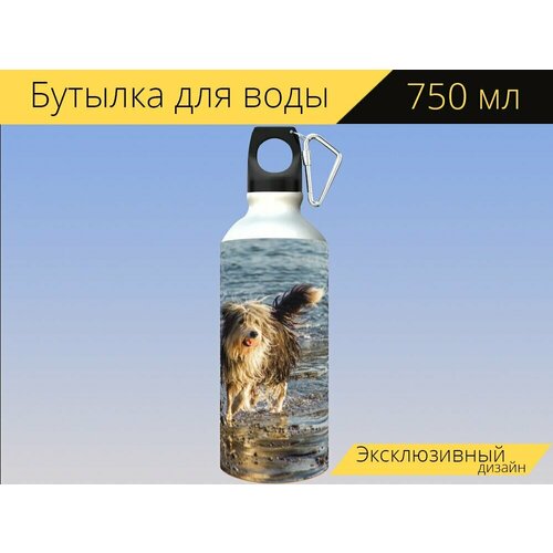 Бутылка фляга для воды "Собака, свобода, вода" 750 мл. с карабином и принтом