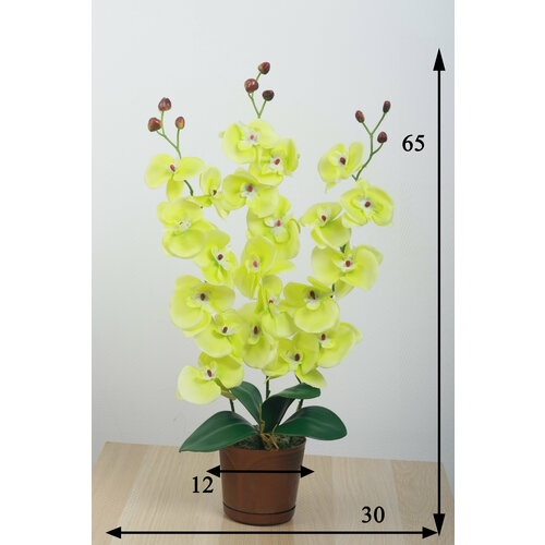 Искусственная Орхидея от бренда Holodilova