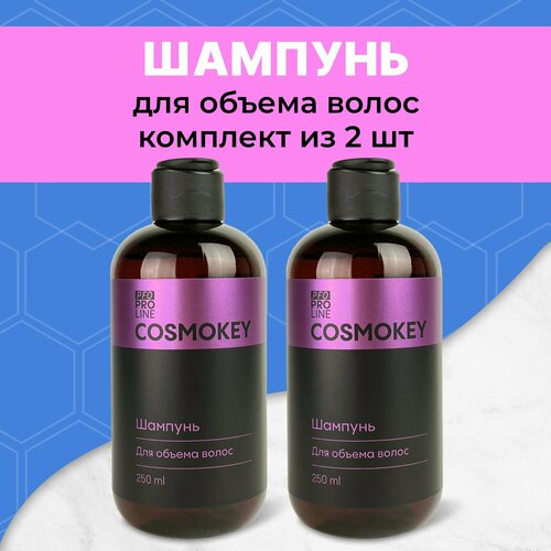 Cosmokey / Космокей Шампунь для мгновенного объема, для тонких и непослушных волос, 2 шт по 250 мл