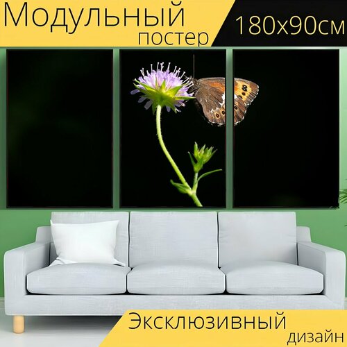 Модульный постер "Бабочка, цветок, животное" 180 x 90 см. для интерьера