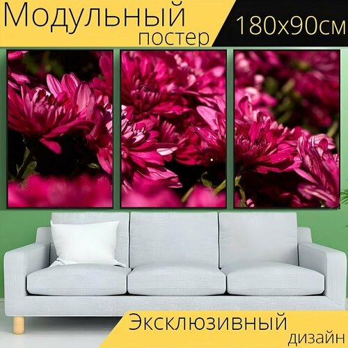 Модульный постер "Хризантема, цветы, завод" 180 x 90 см. для интерьера