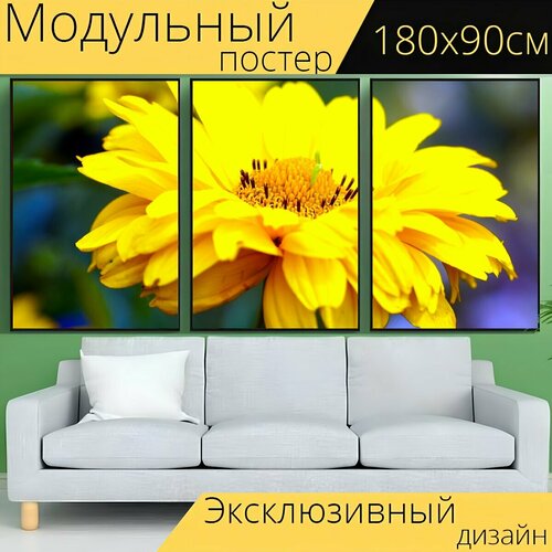 Модульный постер "Глаз девушки, цветок, желтый" 180 x 90 см. для интерьера
