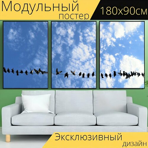 Модульный постер "Птицы, природа, небо" 180 x 90 см. для интерьера