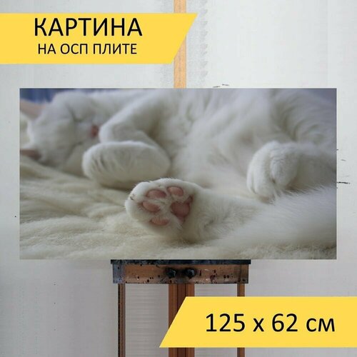 Картина на ОСП 125х62 см. "Кошка, белый, домашний питомец" горизонтальная, для интерьера, с креплениями