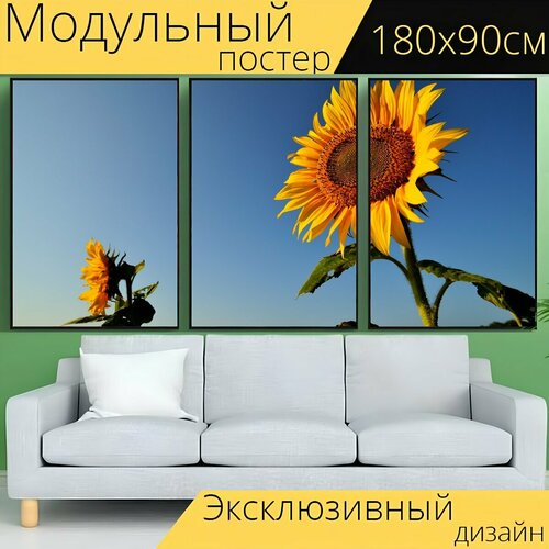 Модульный постер "Цветок, подсолнечник, небо" 180 x 90 см. для интерьера