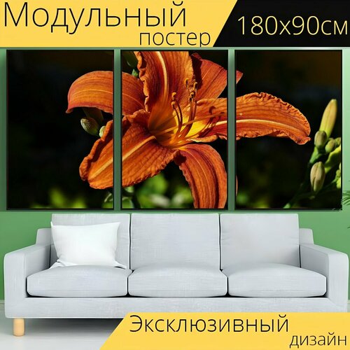Модульный постер "Лили, оранжевый лили, цветок" 180 x 90 см. для интерьера