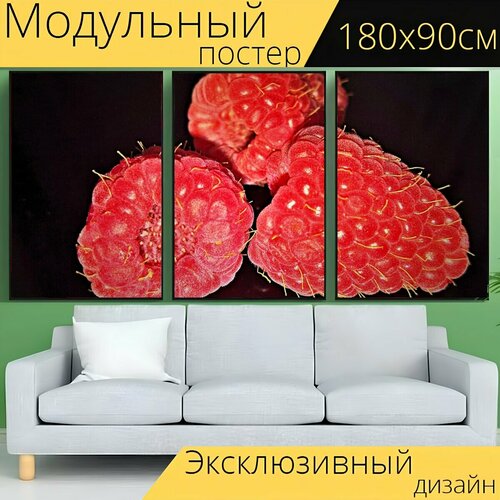 Модульный постер "Малина, фрукты, большой" 180 x 90 см. для интерьера