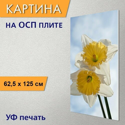 Вертикальная картина на ОСП "Нарцисс, весна, жёлтый" 62x125 см. для интерьериа