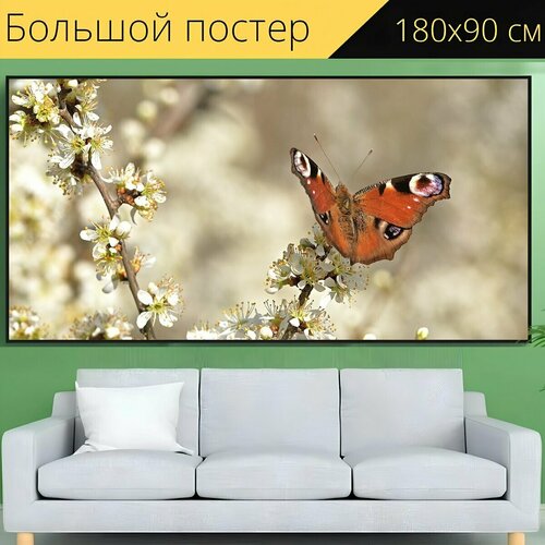Большой постер "Бабочка павлиний, насекомое, цветы" 180 x 90 см. для интерьера