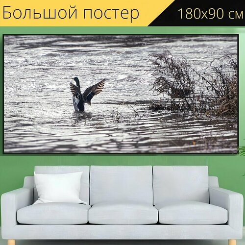 Большой постер "Природа, утка, вода" 180 x 90 см. для интерьера
