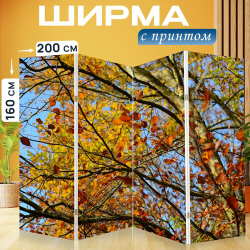 Ширма перегородка с принтом "Падение, лист, золотая осень" на холсте - 200x160 см. для зонирования, раскладная