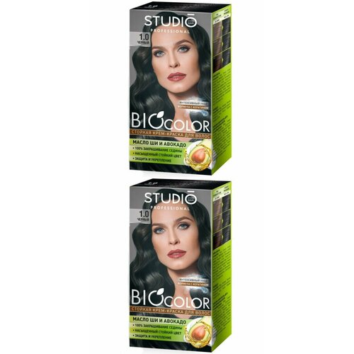 Studio Professional Essem Hair Краска для волос Biocolor, 1.0 черный, 2 шт.
