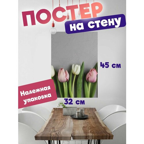 Постер 32х45 Эстетика тюльпанов