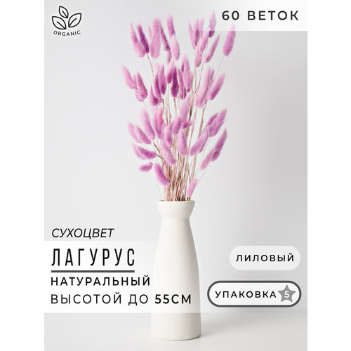 Лагурус сухоцвет лиловый 60шт, Сухоцветы для декора ARANTA, Букет 55 см