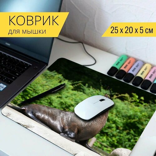 Коврик для мыши с принтом "Морской лев, ушная печать, животное" 25x20см.