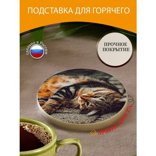 Подставка под горячее "Кошка, улица, пьер" 10 см. из блого мрамора