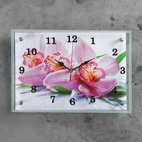 , Часы настенные, серия: Цветы, "Орхидея", 25х35 см