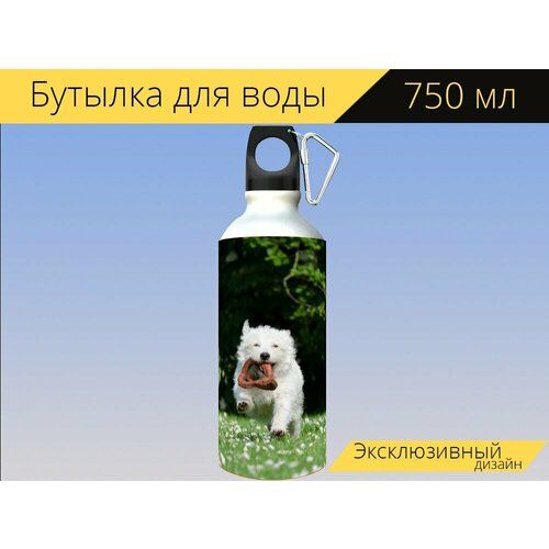 Бутылка фляга для воды "Маленькая собака, забавная собака, милый" 750 мл. с карабином и принтом