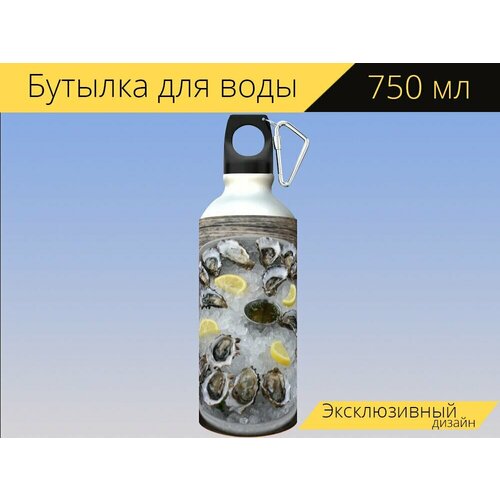 Бутылка фляга для воды "Устрицы, половина оболочки, лед" 750 мл. с карабином и принтом