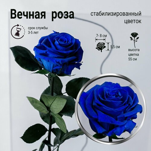 Вечная роза стабилизированная "Синяя" / роза в коробке / подарок любимой, женщине, маме, девушке / романтичный подарок / цветы для декора интерьера / альтернатива розе в колбе