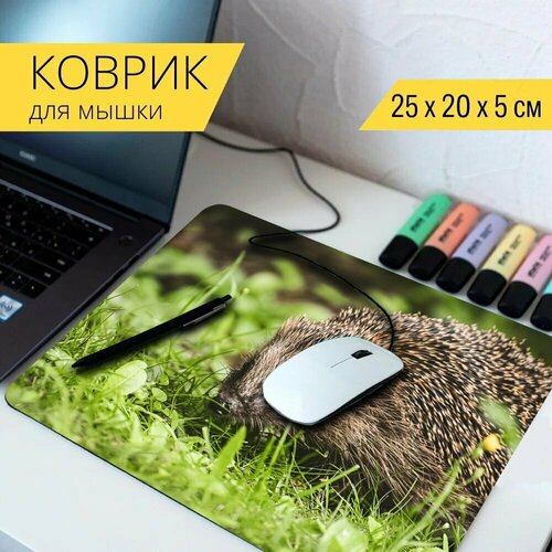 Коврик для мыши с принтом "Лесной ежик, еж, колючее животное" 25x20см.