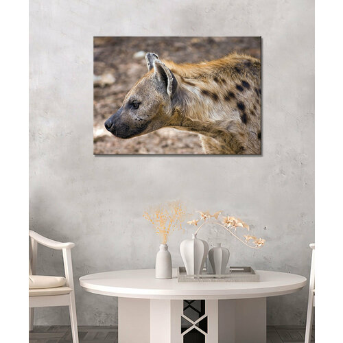 Картина - гиена, гиена в африке, хищная гиена, дикая гиена, гиена в природе (15) 20х30