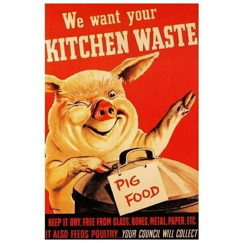 Плакат, постер на бумаге иностранный We wont your Kitchen waste. Размер 21 х 30 см