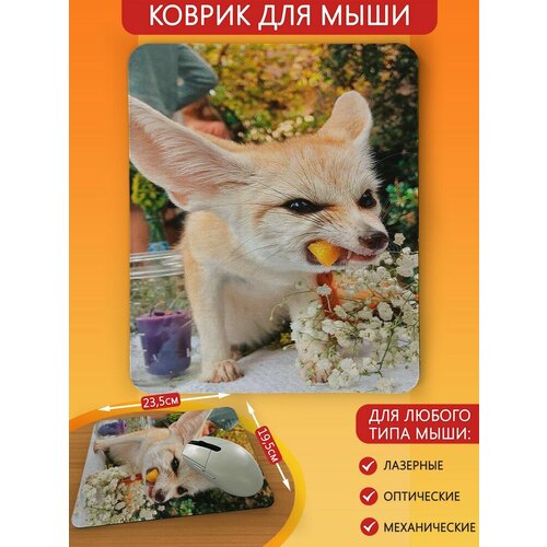 Коврик для мыши с принтом Милые животные котики, собачки - 5624 В