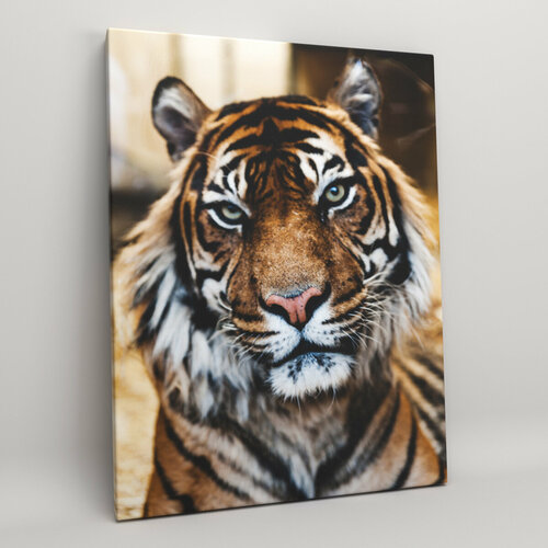 Картина на холсте (интерьерный постер) "Тигр 2" животные, с деревянным подрамником, размер 30х40 см
