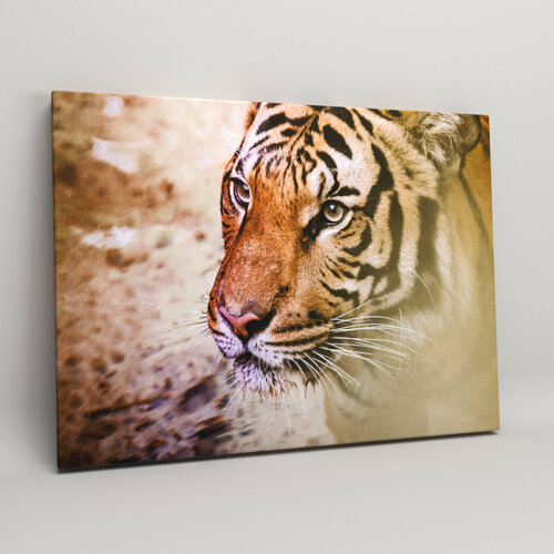 Картина на холсте (интерьерный постер) "Тигр 1" животные с деревянным подрамником, размер 40х30 см