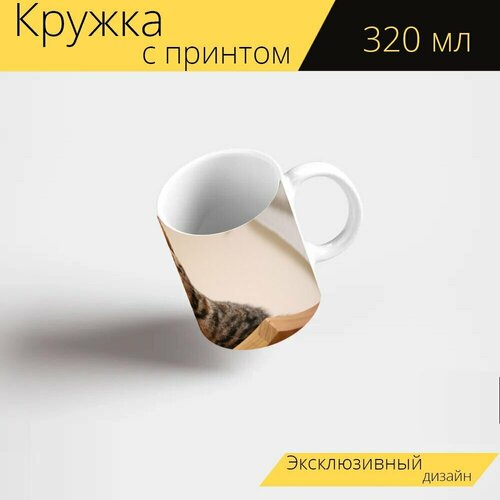 Кружка с рисунком, принтом "Кошка, кот, домашние питомцы" 320 мл.