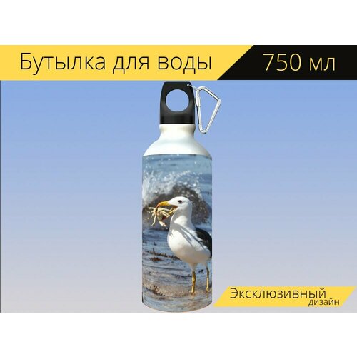 Бутылка фляга для воды "Море, птицы, альбатрос" 750 мл. с карабином и принтом