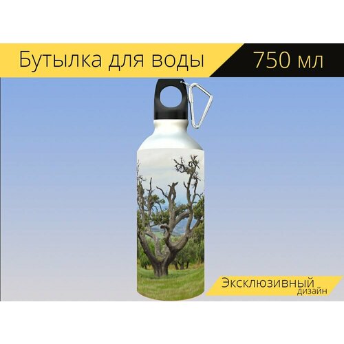 Бутылка фляга для воды "Каменный дуб, энсина, дерево" 750 мл. с карабином и принтом