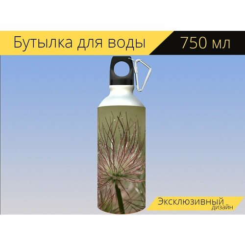 Бутылка фляга для воды "Паске цветок, прострел, блеклый" 750 мл. с карабином и принтом
