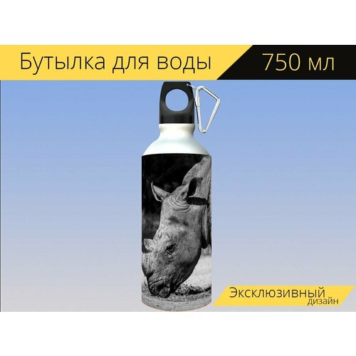 Бутылка фляга для воды "Носорог, животное, сафари" 750 мл. с карабином и принтом