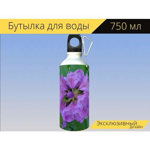 Бутылка фляга для воды "Цветочный, завод, естественный" 750 мл. с карабином и принтом