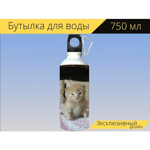 Бутылка фляга для воды "Котенок, милый, кошка" 750 мл. с карабином и принтом