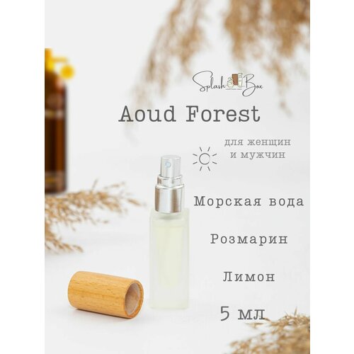 Aoud Forest духи стойкие