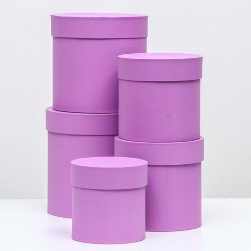 Набор шляпных коробок 5 в 1 "Фиолетовые" , 20 х 20-13 х 13 см