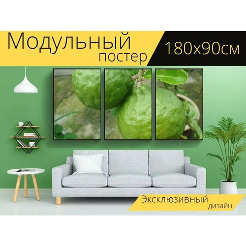 Модульный постер "Лайм, цитрусовые, фрукты" 180 x 90 см. для интерьера