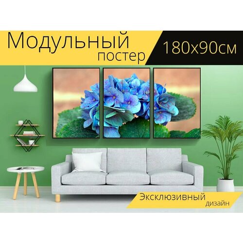 Модульный постер "Гортензия, голубая гортензия, цветы" 180 x 90 см. для интерьера
