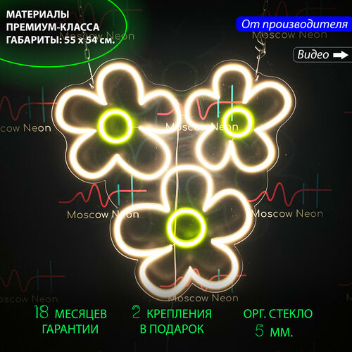 Неоновый светильник / Неоновая светодиодная вывеска на стену / Настенная неоновая лампа "Ромашки" для дома и бизнеса, 55 х 54 см.