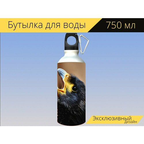 Бутылка фляга для воды "Канюк, хищник, дикие птицы" 750 мл. с карабином и принтом